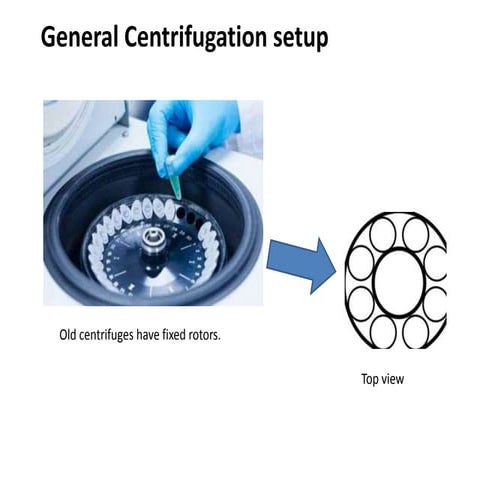 Centrifuge with movable rotors. | PPT