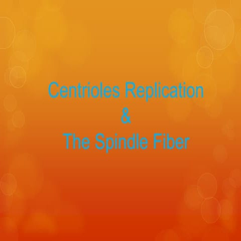 Centrioles replication | PPT