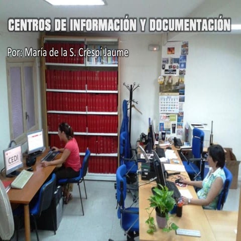 Centros de información y documentación (def) | PDF
