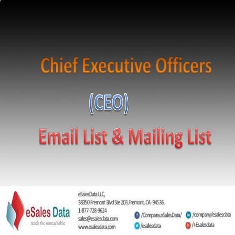 CEO Email List and Mailing List | PPTX