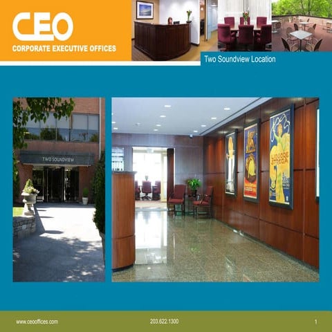 Ceo Office Solutions | PPT