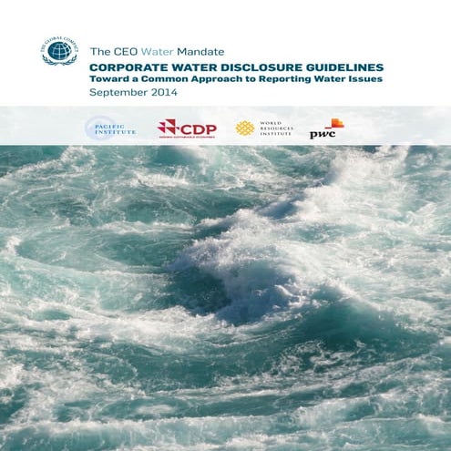 Corporate Water Disclosure Guidelines | PDF | Water Services | Home ...
