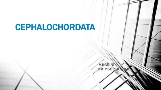 Larval forms in echinodermata | PPT