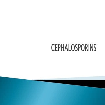 Cephalosporin Pdf Pdf