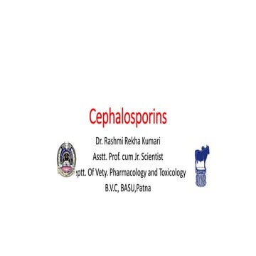 Cephalosporins 1 Pptx