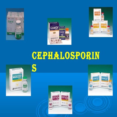 Cephalosporins 2 | PPT