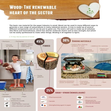 Resource efficiency in the pulp and paper industry - making more from ...