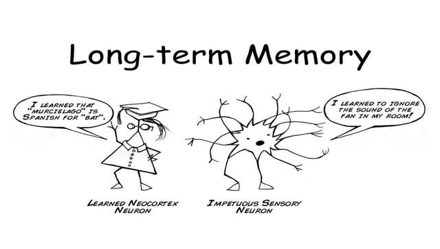 Short Term Memory Cartoon
