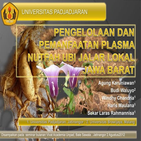 PENGELOLAAN DAN PEMANFAATAN PLASMA NUTFAH UBI JALAR LOKAL JAWA BARAT | PDF