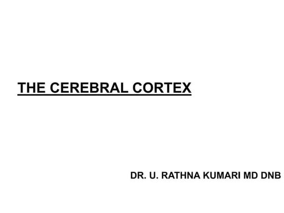 Cerebral cortex ppt | PPT
