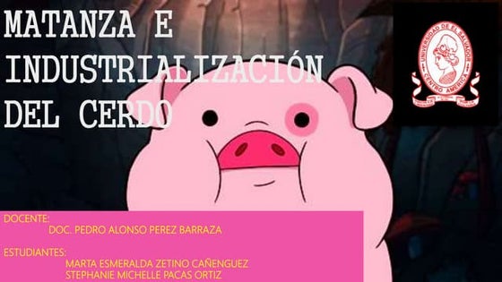 Proceso de Faenado en bovinos | PPT