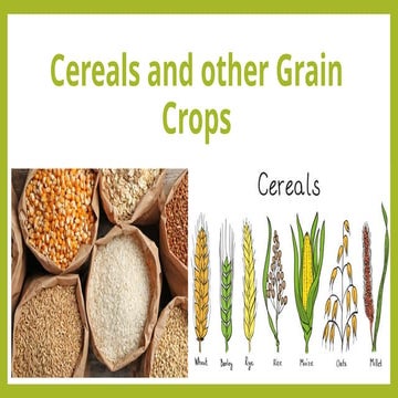 Classification of crops | PPTX