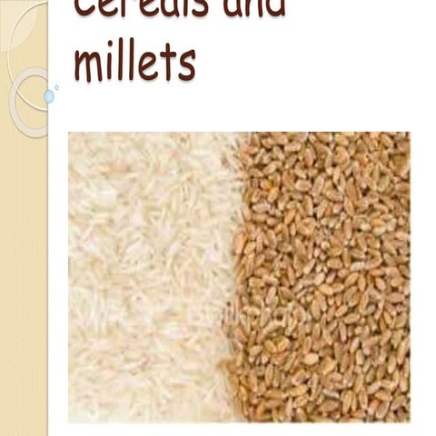 Cereals and millets | PPTX