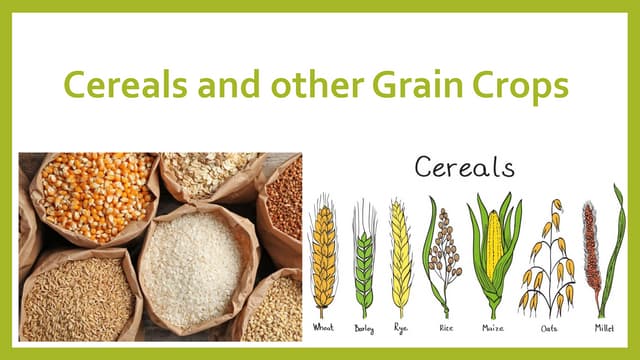 CLASSIFICATION OF FIELD CROPS | PPTX