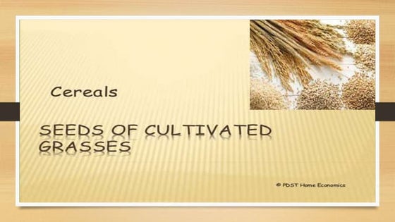 Strucuture of cereal grains and legumes | PPTX
