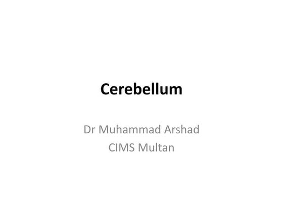 Histology of cerebrum and cerebellum | PDF