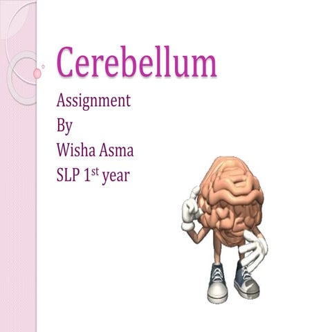 Cerebellum parts and function | PPTX