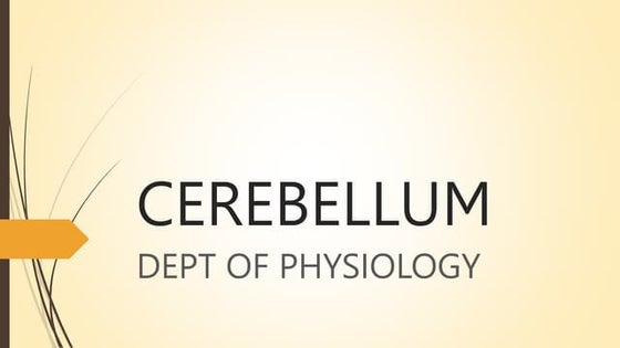 Physiology of equilibrium & balance | PPT | Brain and Nervous System ...