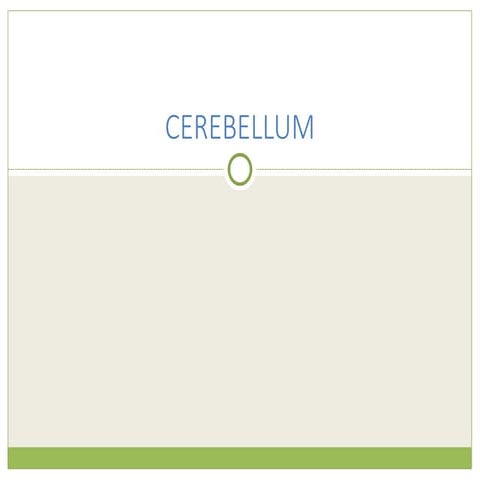 Anatomy Anatomy Anatomy CEREBELLUM.pptx