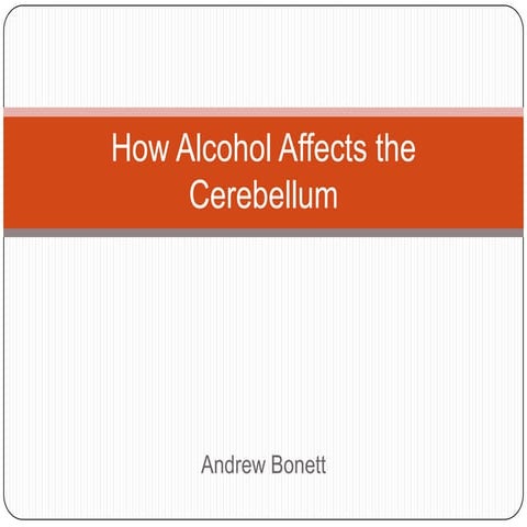 Cerebellum And Alcohol | PPTX