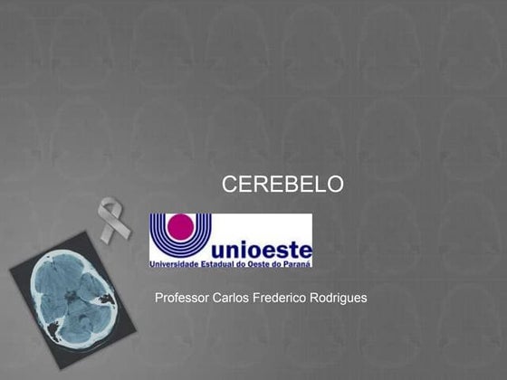 Medresumos 2016 Neuroanatomia 09 Estrutura E Funções Do Cerebelo Pdf
