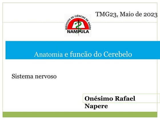 Medresumos 2016 Neuroanatomia 09 Estrutura E Funções Do Cerebelo Pdf