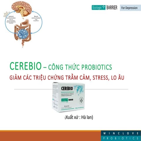 Cerebio - công thức probiotic giúp giảm triệu chứng stress, lo âu, trầm ...