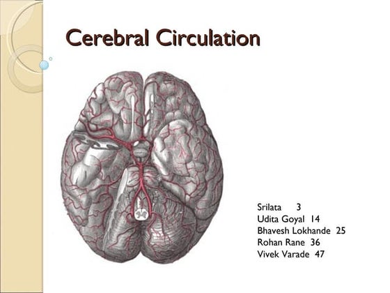 Anterior cerebral circulation | PPTX