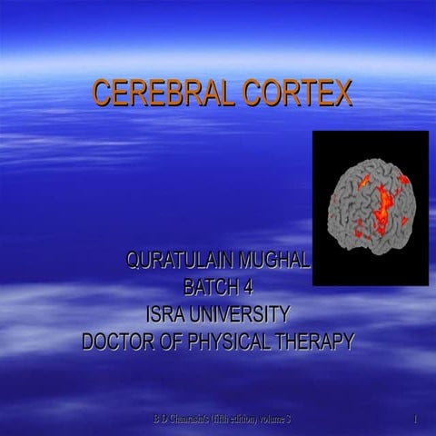 Cerebral cortex | PPT