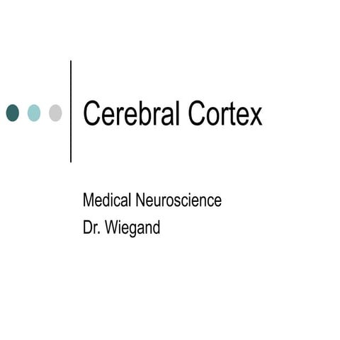Anatomy of Cerebral Cortex and cortical areas.ppt