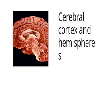 Cerebral cortex and hemispheres (1).pptx