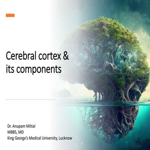 Cerebral cortex & its components | PPTX