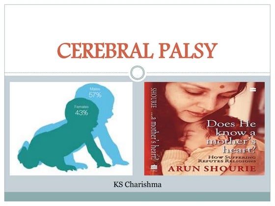 Tracts of spinal cord (1) | PPT