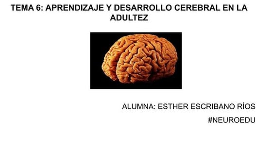 Cómo aprende el cerebro | DOCX | Educational Assessment | Education