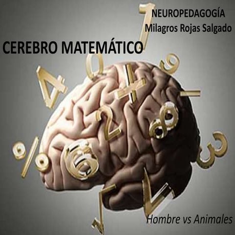 Cerebro matemático | PPTX
