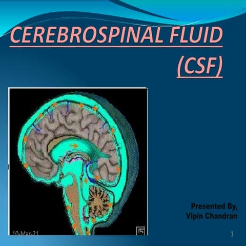 Cerebrospinal fluid, Anatomy and Physiology, Nervous system | PPTX