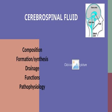 Cerebrospinal Fluid.pptx composition functions | PPTX