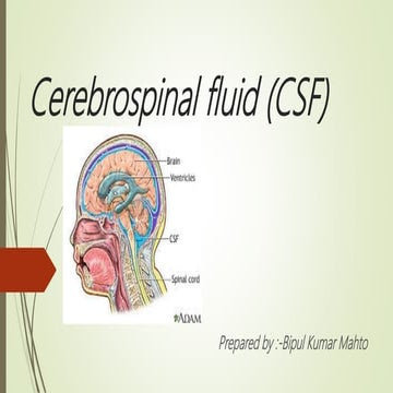 Cerebrospinal fluid (csf) | PPTX