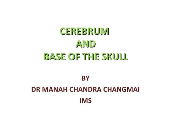 Cerebral cortex ppt | PPT