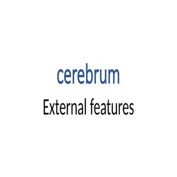 anatomy of cerebrum ( external features) .pptx