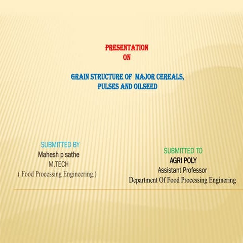 The production process of starch | PPTX