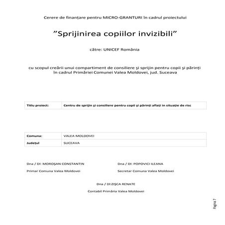 Cerere finatare proiect unicef 2012 | DOC