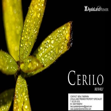 Cerilo Nuvali Project Profile | PDF