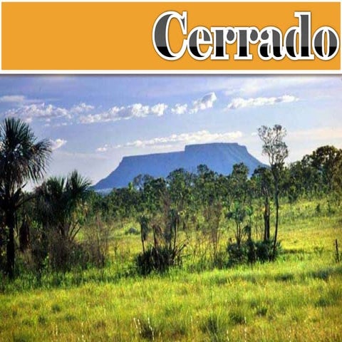 Cerrado | PPTX