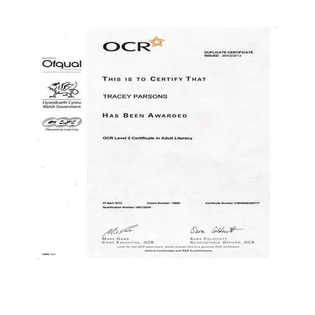 Literacy Level 2 | PDF