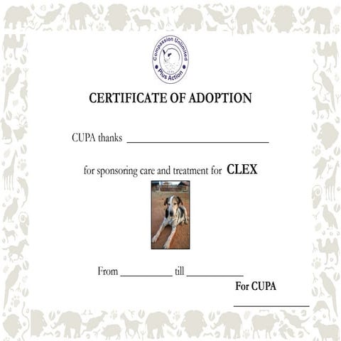 Cert 5 clex | PDF