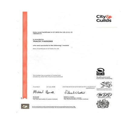 Entry Level 3 IT | PDF