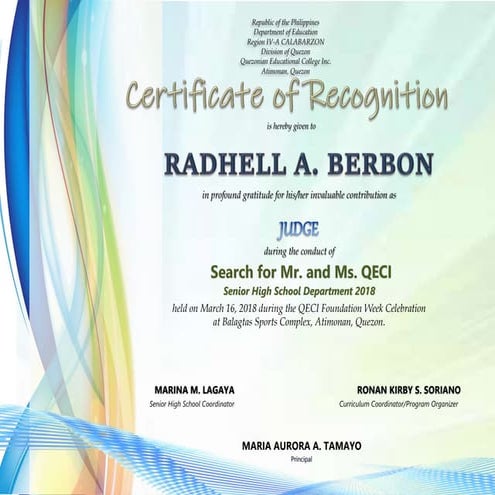 cert for judges 3.docx