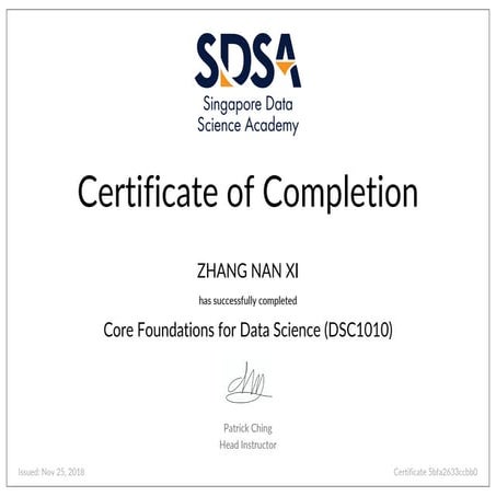 DSC1010 Core Foundations for Data Science | PDF