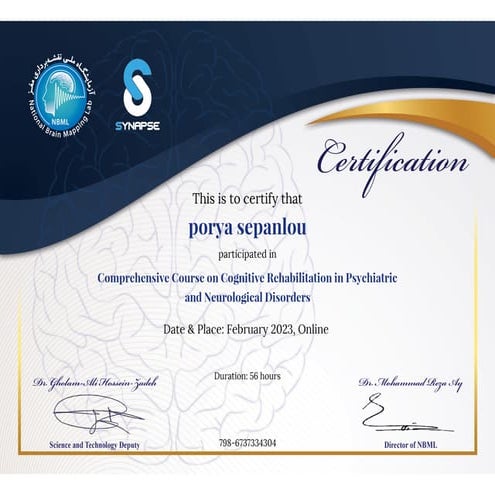 Comprehensive Course on Cognitive Rehabilitation in Psychiatric and ...